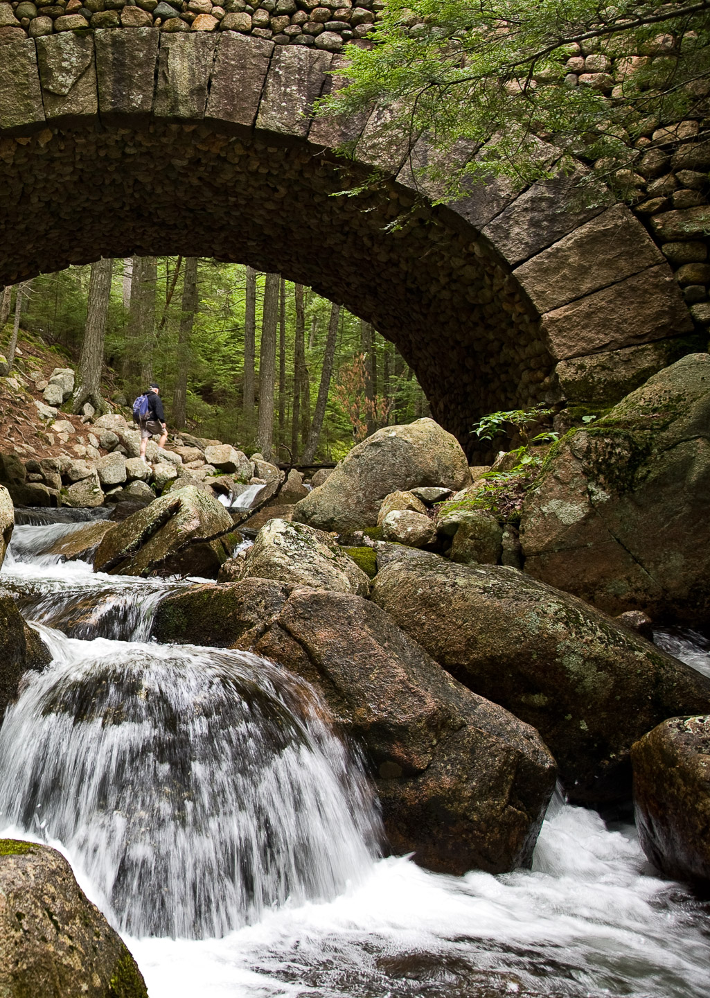 Carriage Roads of Acadia National Park, photos by Sue Anne Hodges