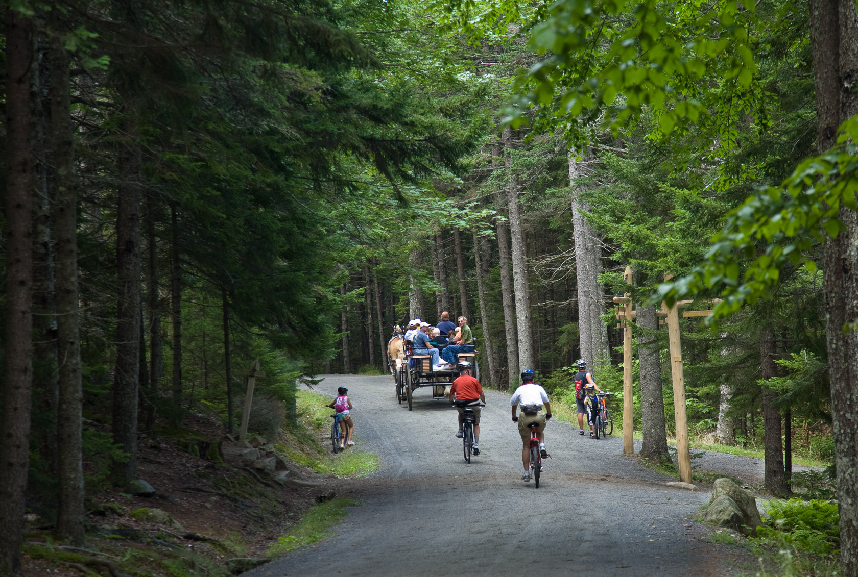 Carriage Roads of Acadia National Park, photos by Sue Anne Hodges
