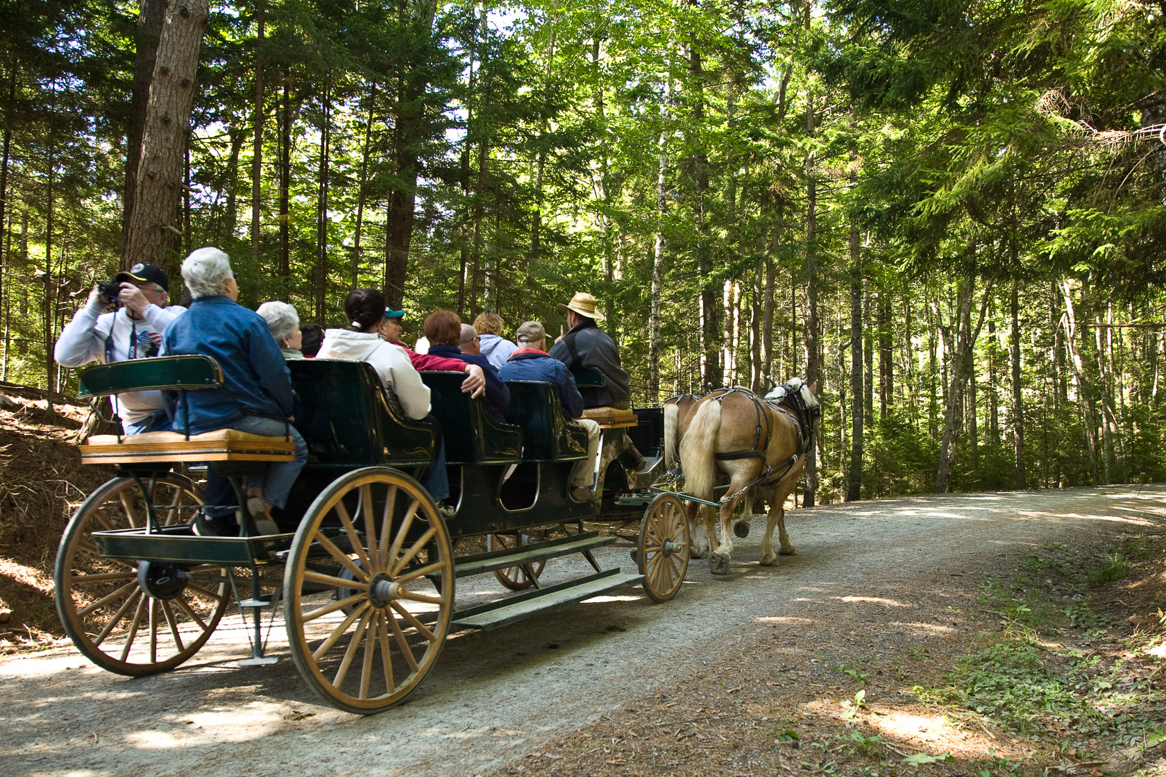 Carriage Roads of Acadia National Park, photos by Sue Anne Hodges